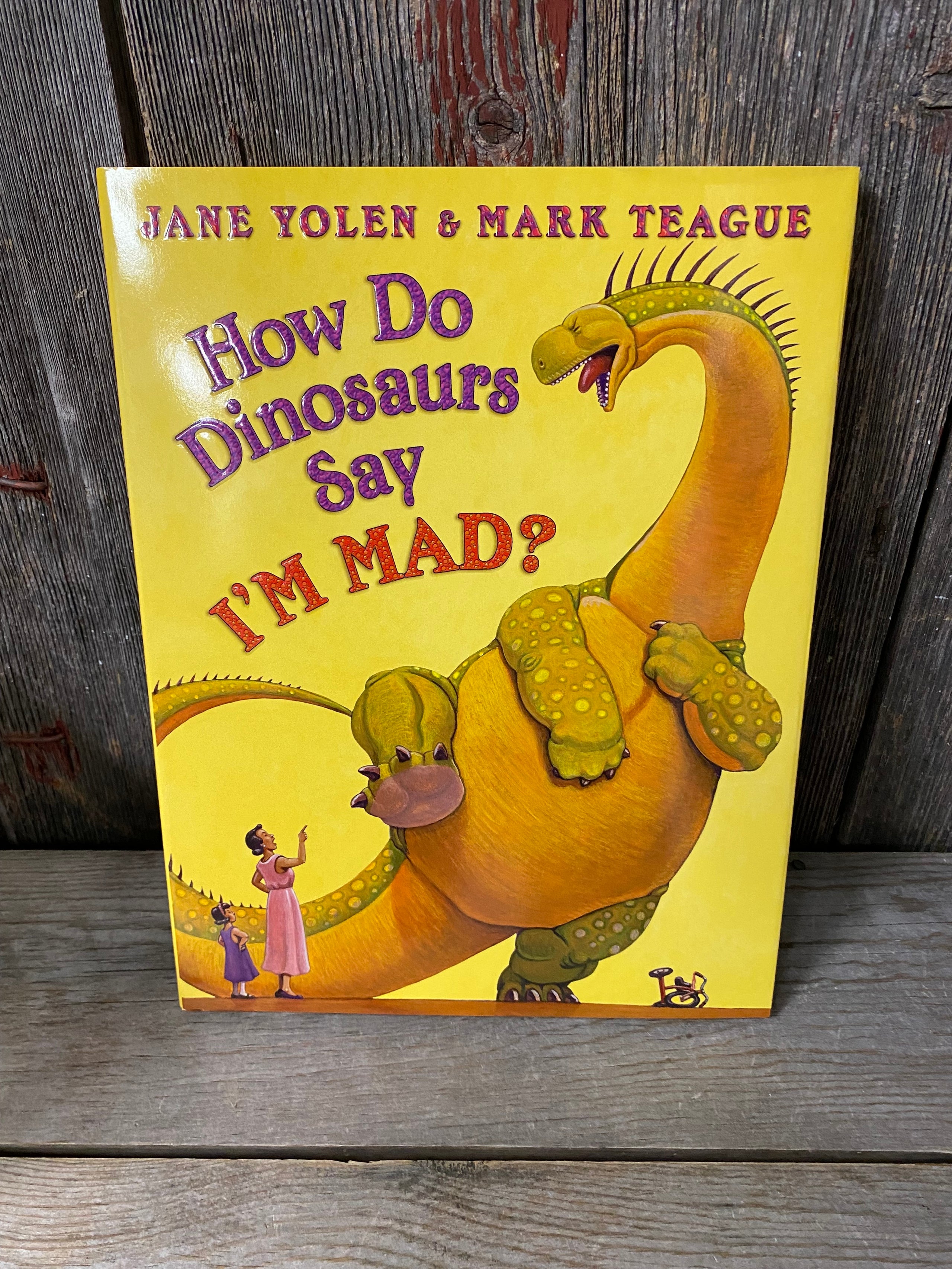 How Do Dinosaurs Say I'm Mad? | Whimsy On Main