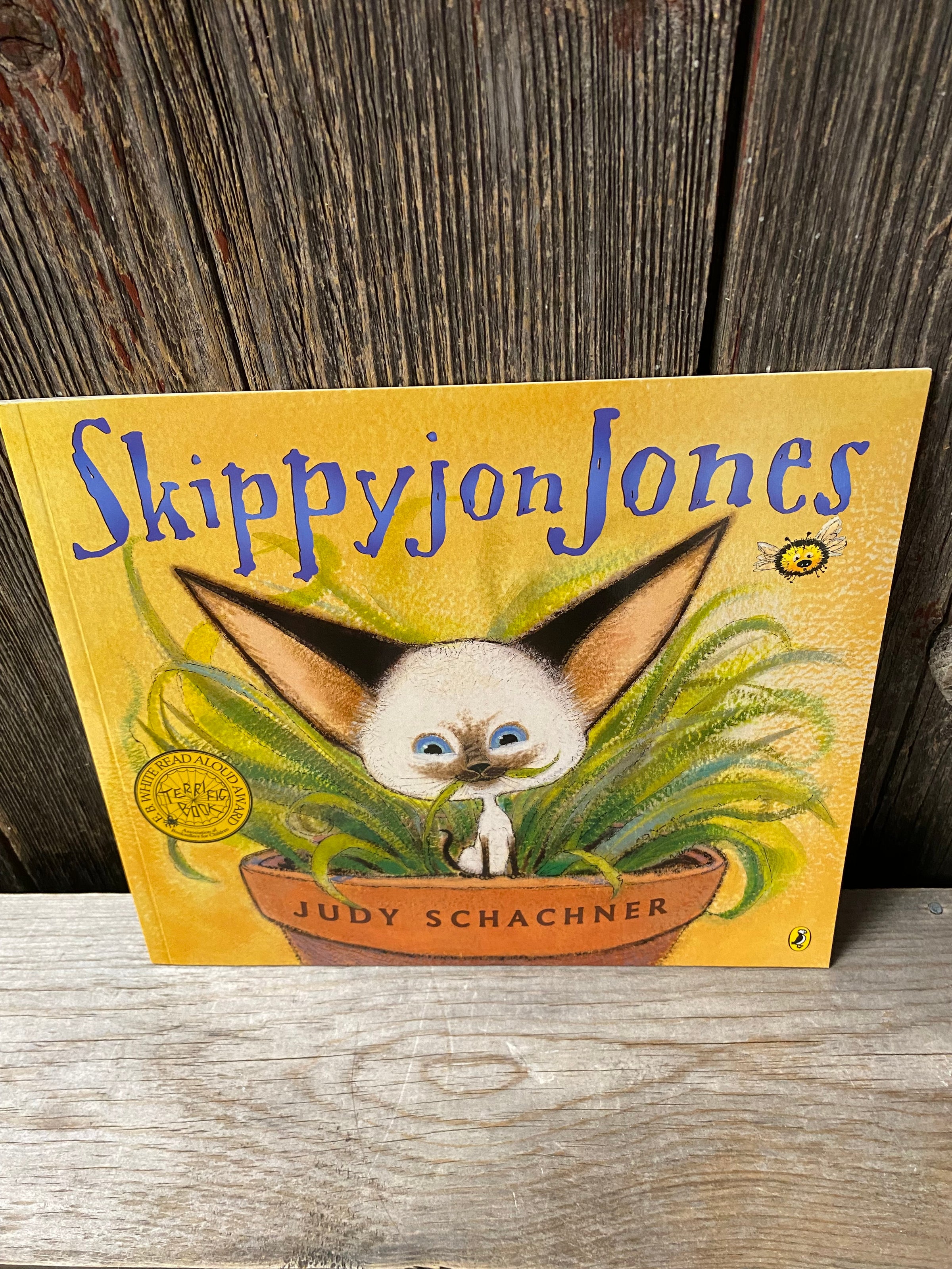 Skippy Jon Jones Coloring Pages For Kids