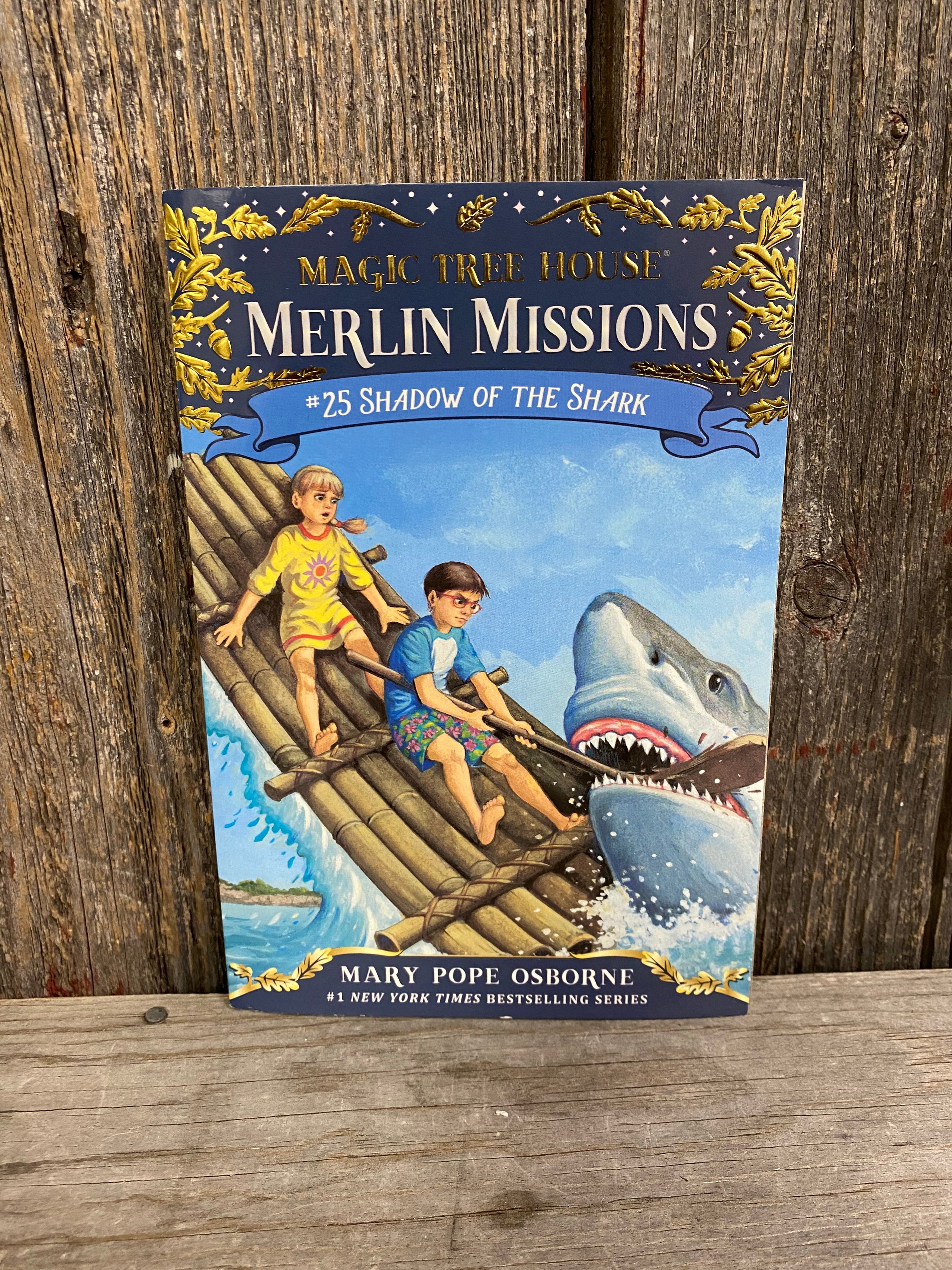 Jack And Annie Magic Tree House Coloring Pages